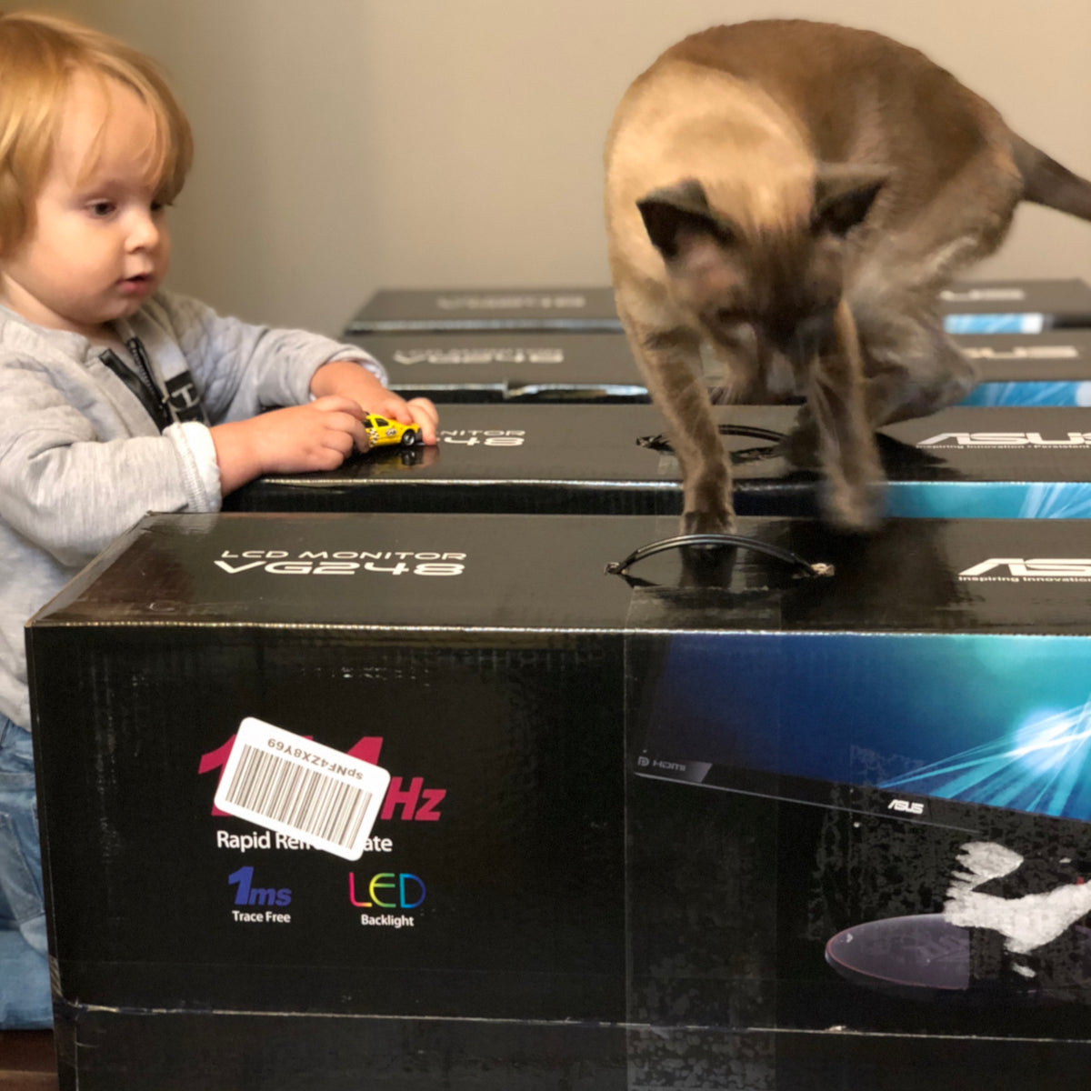 New Shipment of Asus 24” 1ms 144Hz Gaming Monitors – Signa