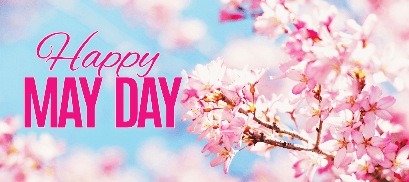 It's May 1st! Happy May Day!