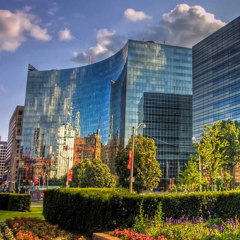 Signa's Client Showcase